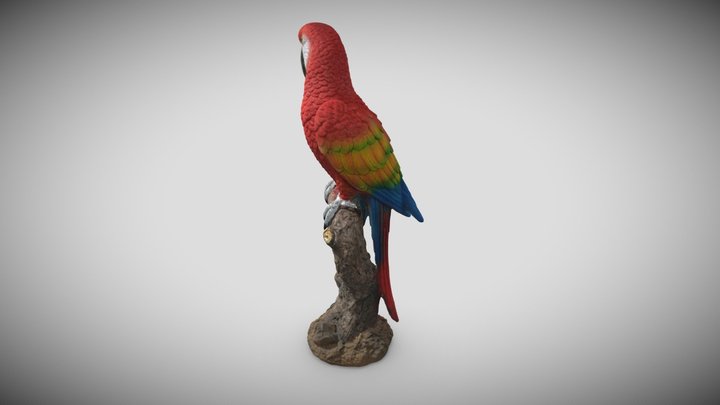 Parrot - 3D model by iReal 3D [07c12f9] - Sketchfab