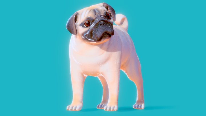 Pug 3D models - Sketchfab
