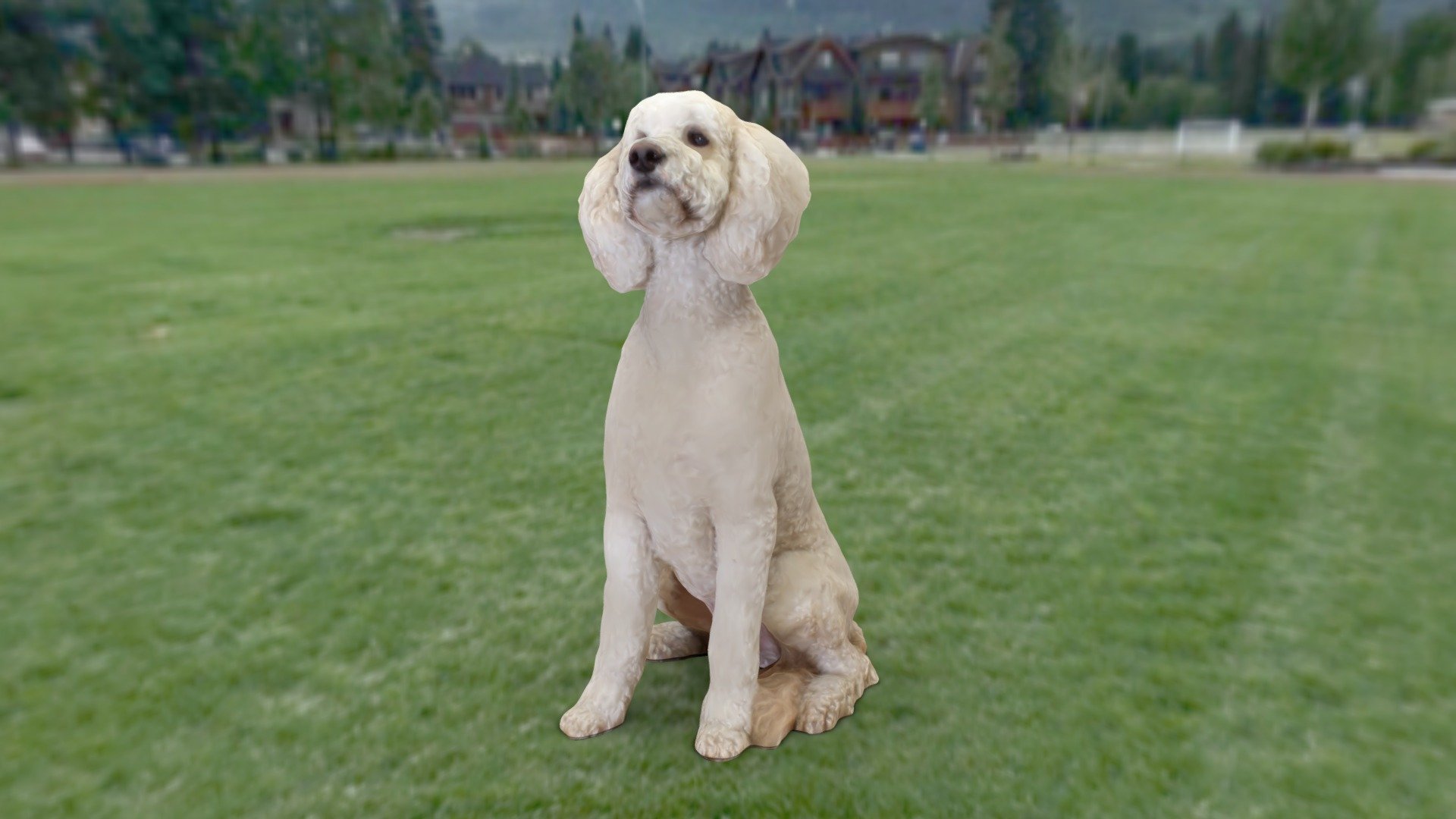Radar - Goldendoodle - 3D model by GravityB [07ce57c] - Sketchfab