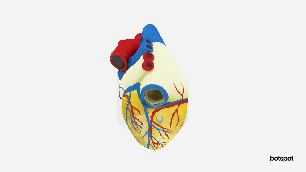 Human Organs - no download - A 3D model collection by XR Lab 3D Assets ...