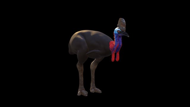 Cassowary 3D models - Sketchfab