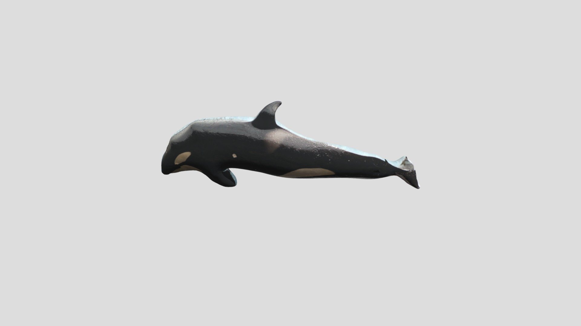 ORCA - 3D model by 409730198 [07d2e53] - Sketchfab