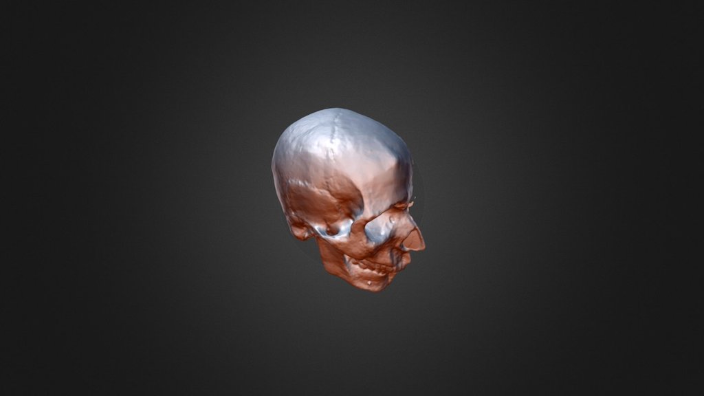 PM3D Mesh - 3D model by MG. (@MateuszGidaszewski) [07d3bbc] - Sketchfab