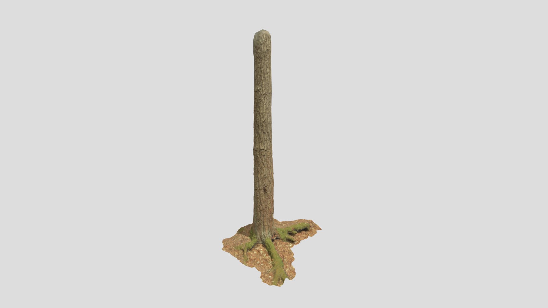Pine Tree Trunk Roots Processed Scans Forest - Buy Royalty Free 3D ...