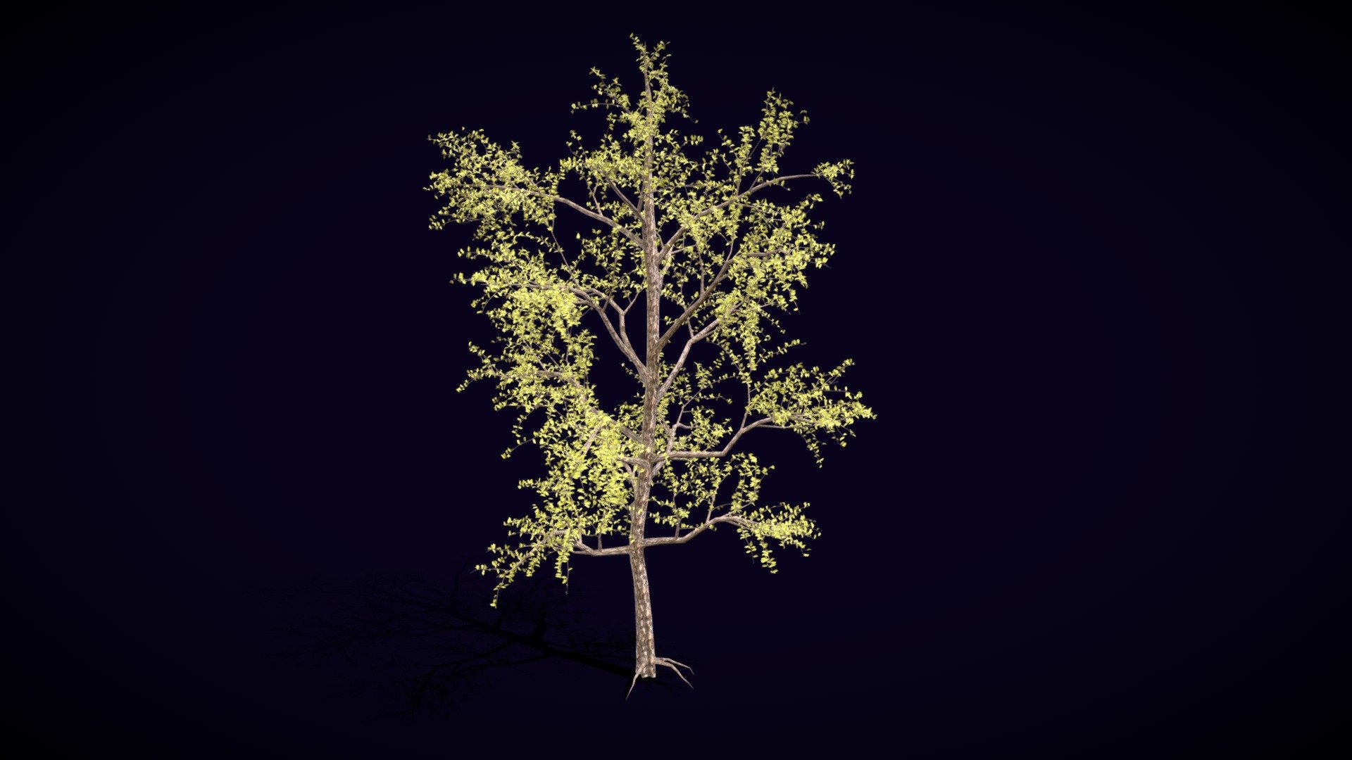 tree - 3D model by kingdesigner [07d617f] - Sketchfab