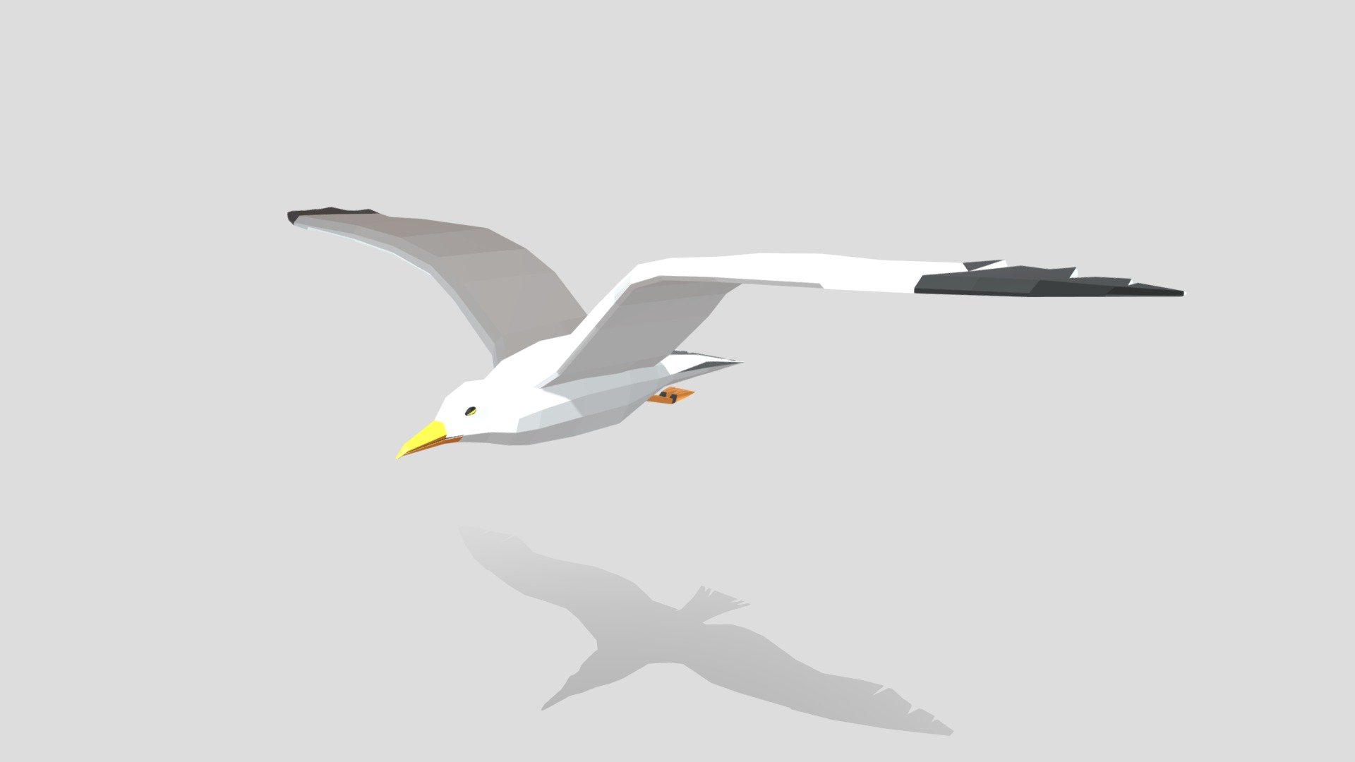 Flying Seagull - Download Free 3D model by The lighthouse keeper ...