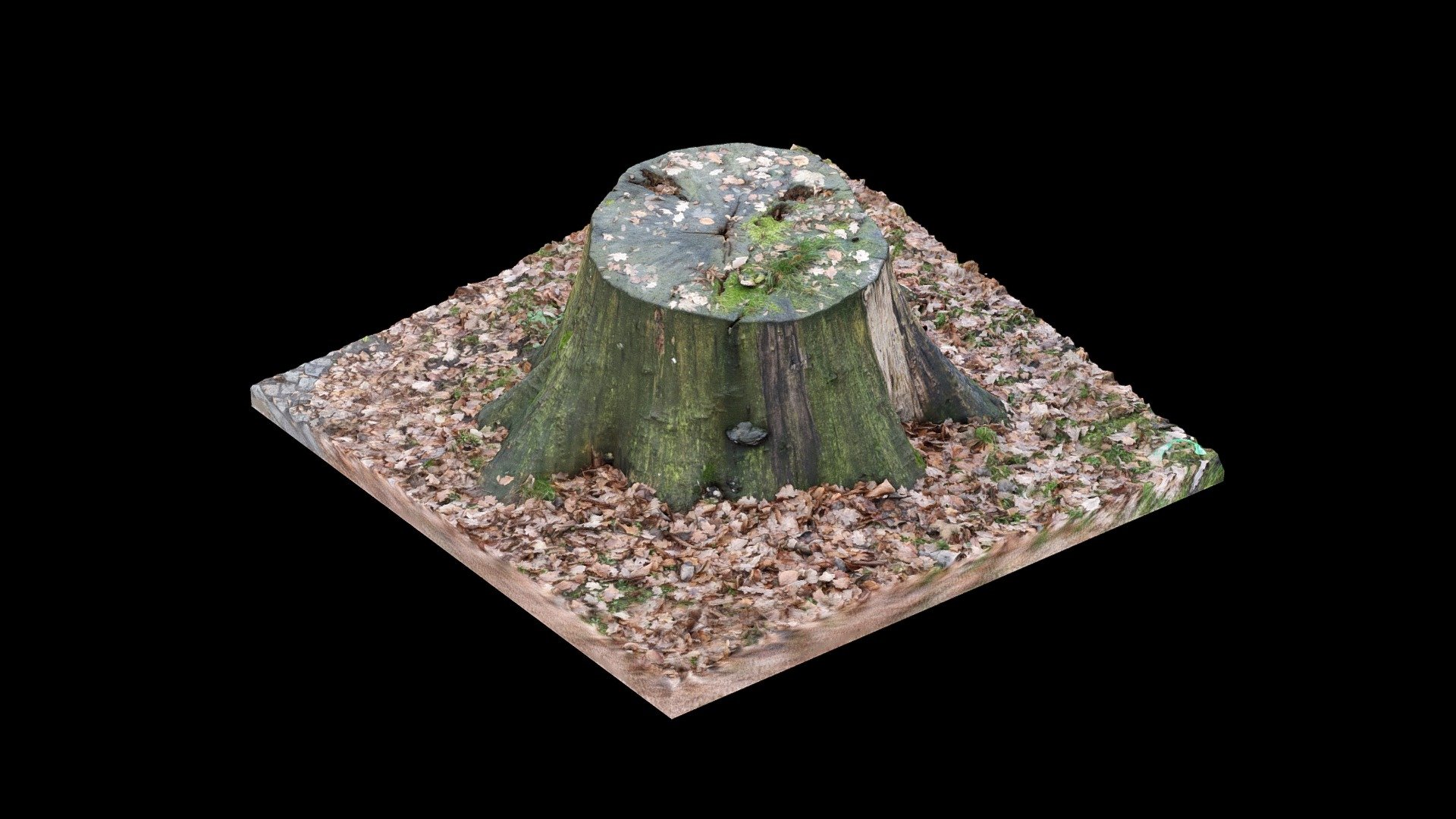 Tree Stump - Download Free 3D model by Mohammad Reza Abdollahi ...