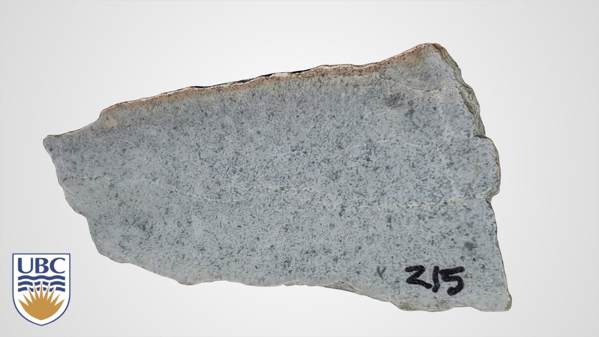 Skaergaard intrusion granophyre (SEB87-215) - 3D model by Nichole ...
