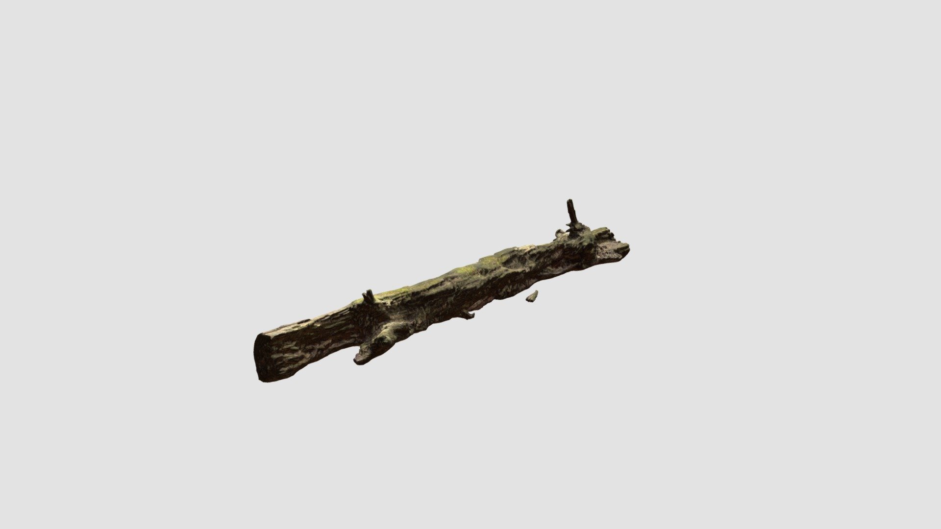 forest element - 3D model by Evermotion [07f36b1] - Sketchfab