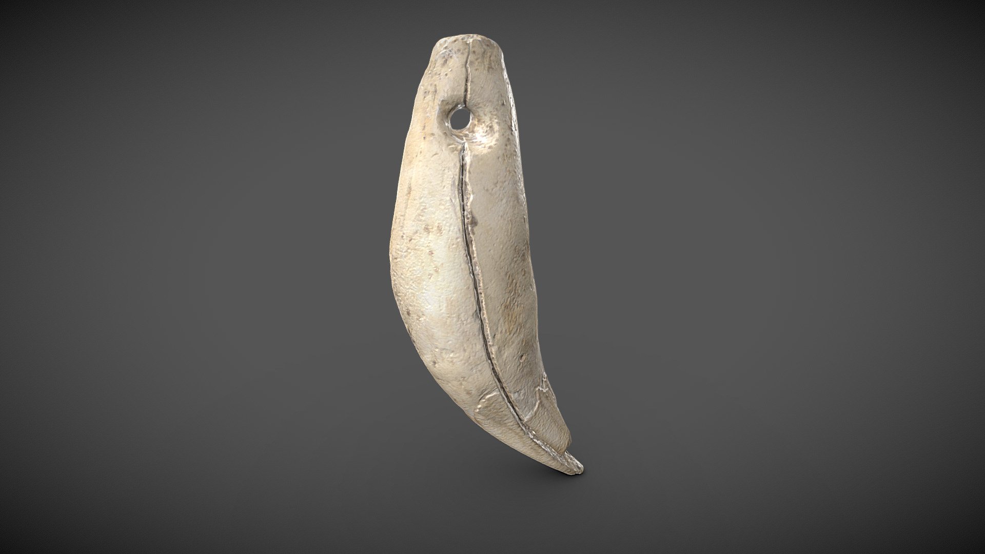 Dent d'ours travaillée en élément de parrure - Download Free 3D model by Alienor.org, Conseil ...
