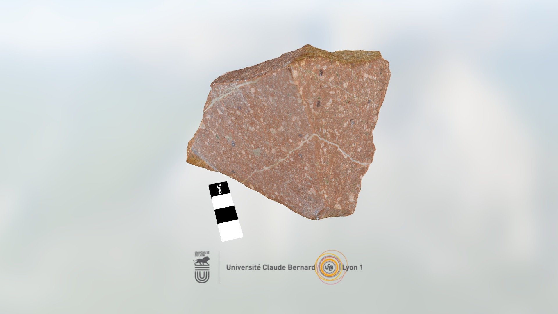 Rhyolite - 3D model by OSU_Lyon1 [0801eb7] - Sketchfab