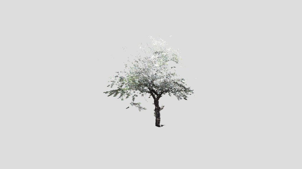 TLS trees - A 3D model collection by kungphil - Sketchfab