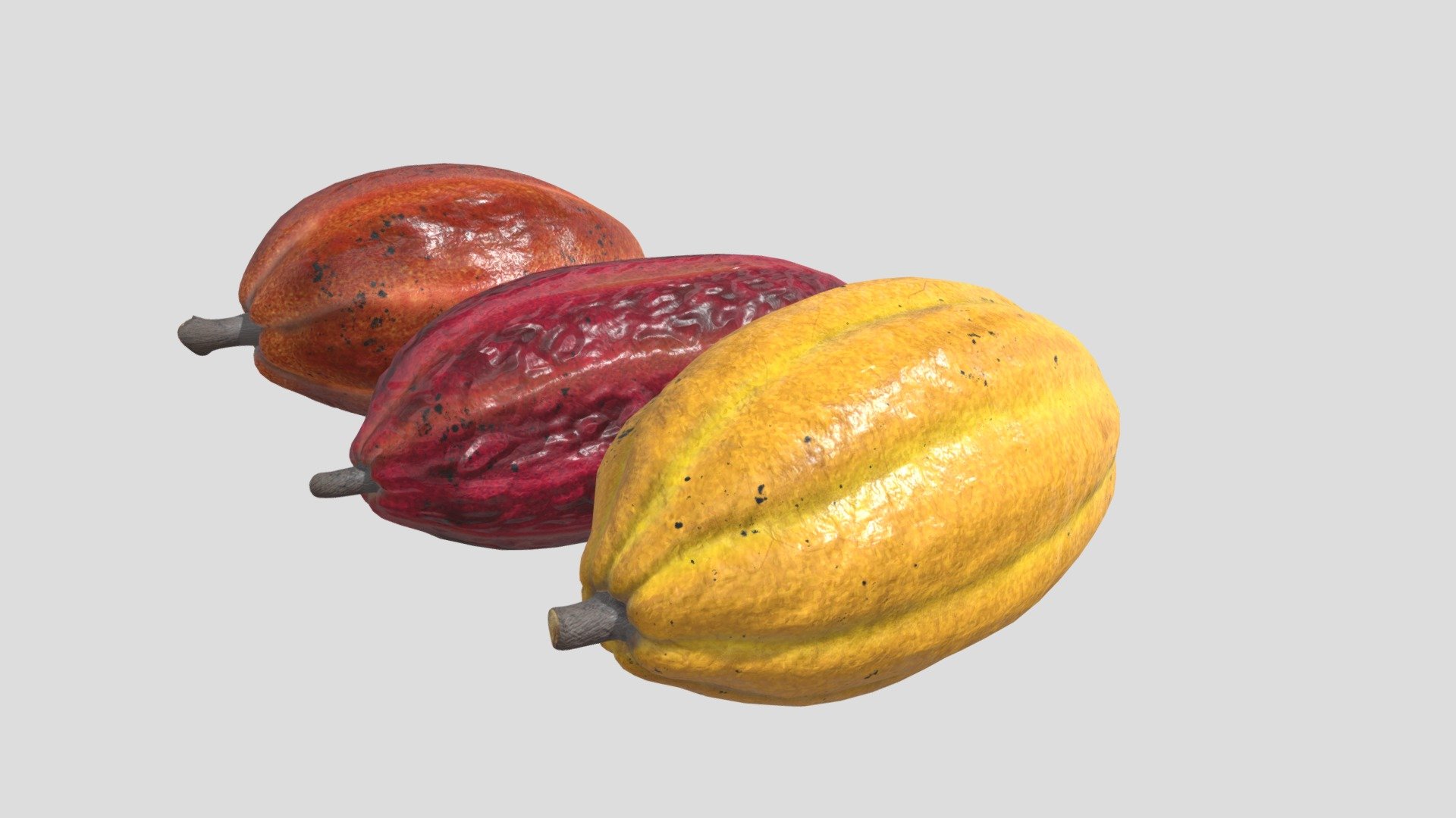 cacao - 3D model by powellcolla [0813440] - Sketchfab