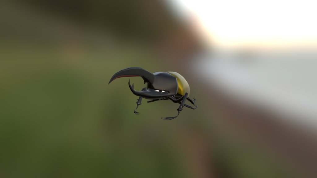 Herc the Hercules Beetle - 3D model by PlatypusPro [081473b] - Sketchfab