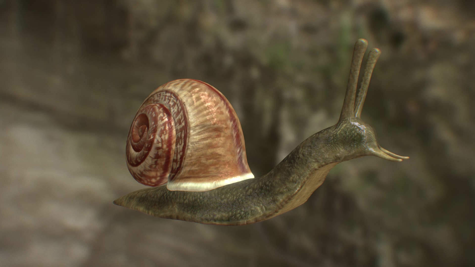 Escargot_TEST_1_VIEWER - 3D model by samuelplante [08171f8] - Sketchfab