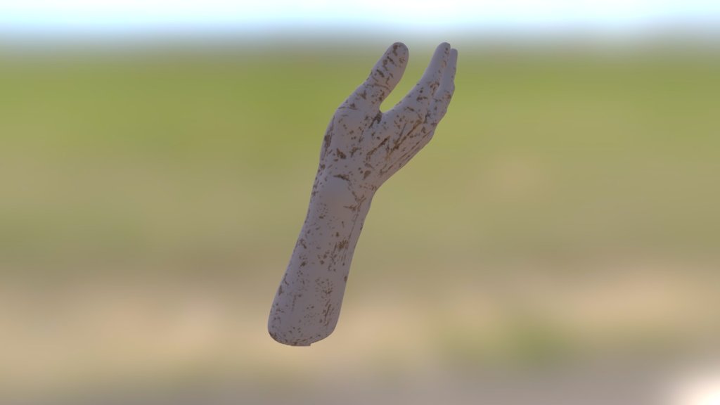 Hand Color - 3D model by simonchen2020 [081e06e] - Sketchfab