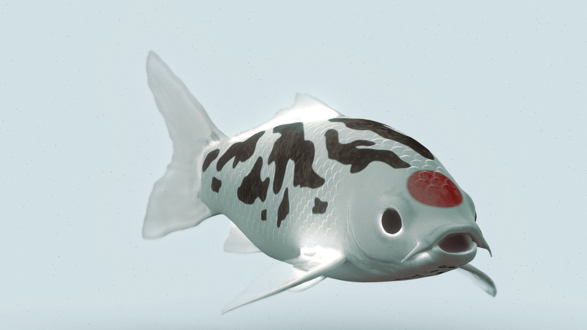 Koi Model Black and Red - 3D model by Zeki Design (@zeki98) [0823c0c ...