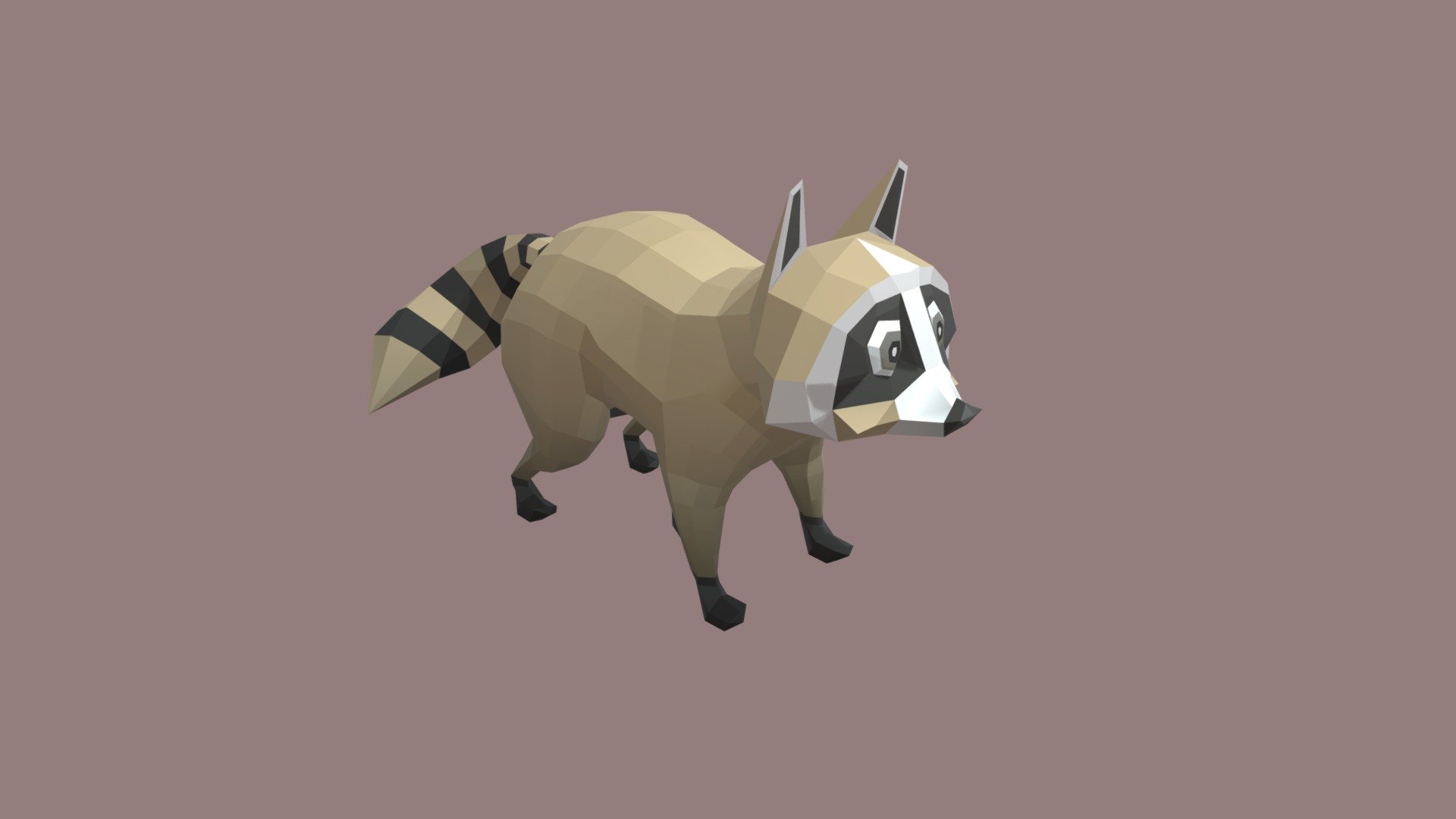 Racoon - 3D model by majd7 [0834fae] - Sketchfab