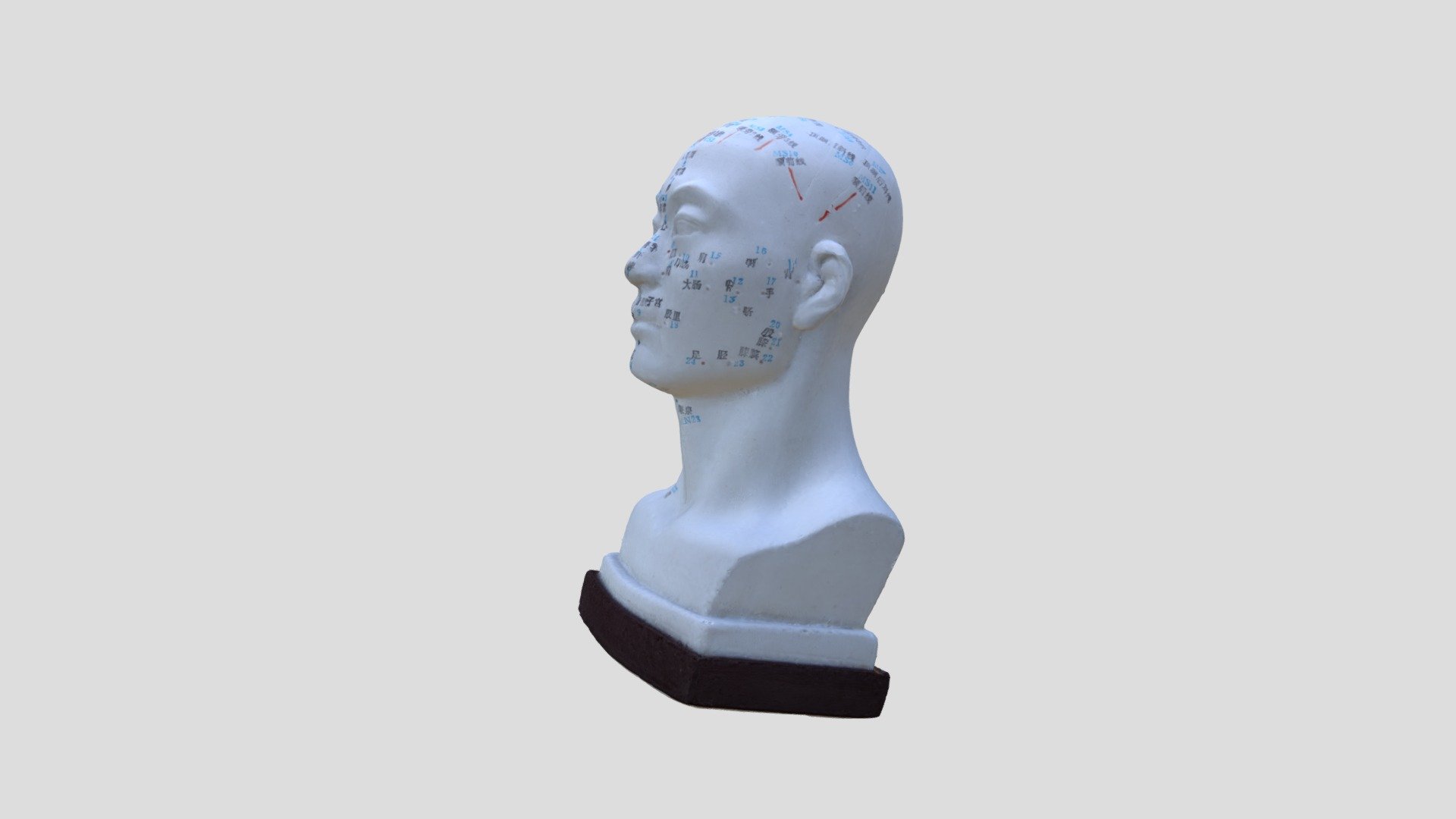 Acupuncture Head Model - 3D model by Godefrith3D [083d884] - Sketchfab