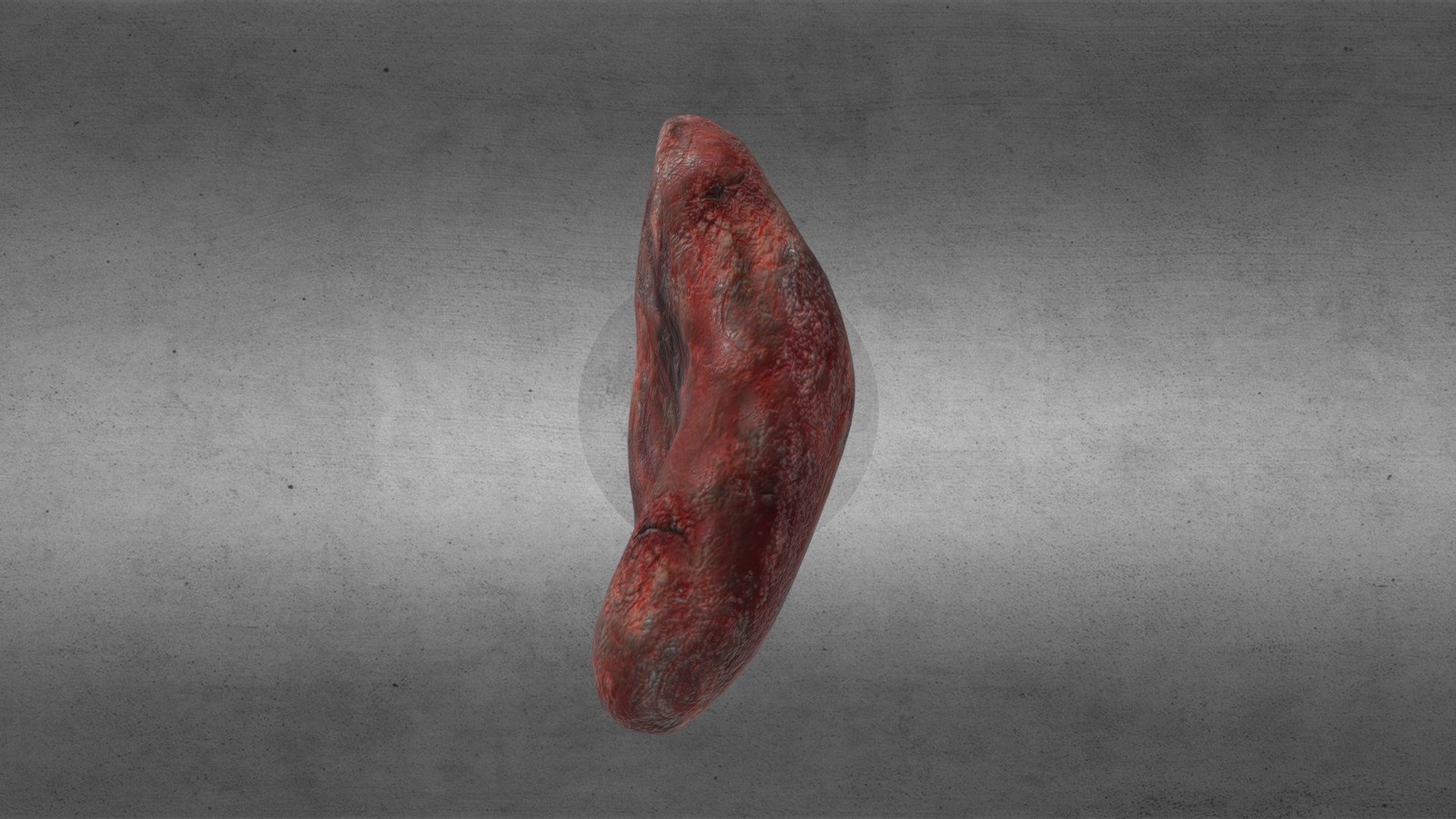 Human Spleen Anatomy - Buy Royalty Free 3D model by Clacydarch [08423c7 ...