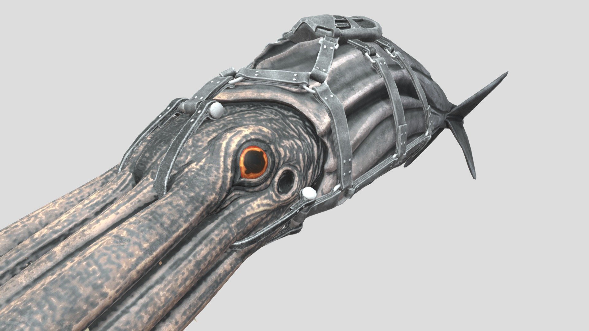Tusoteuthis - Download Free 3D model by Tim (@TimFallas) [084276a ...