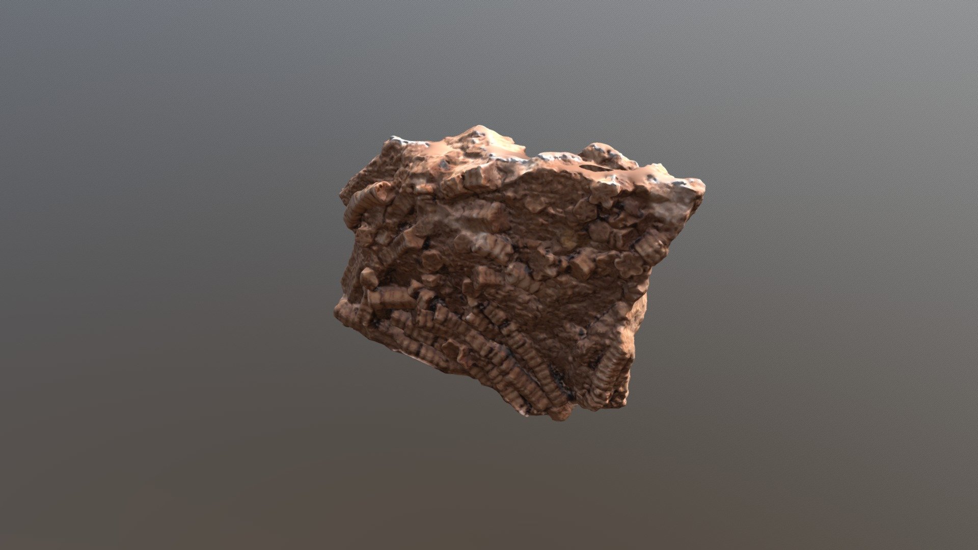 Pentacrinites High Res 2nd test - 3D model by Digital Learning ...