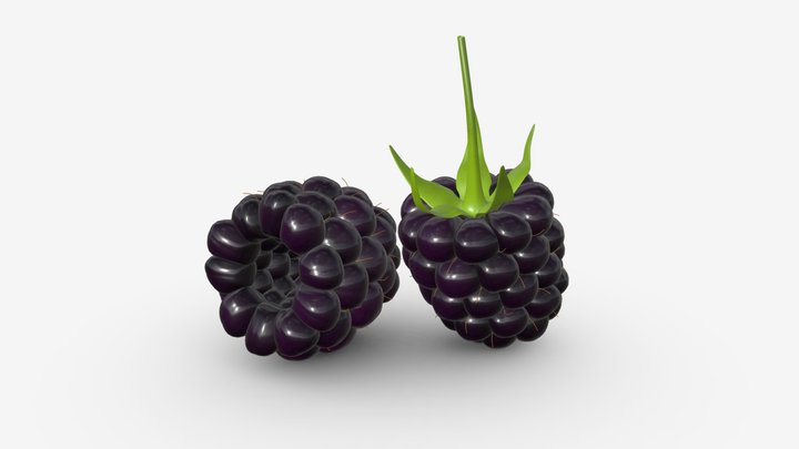 Bramble 3D models - Sketchfab