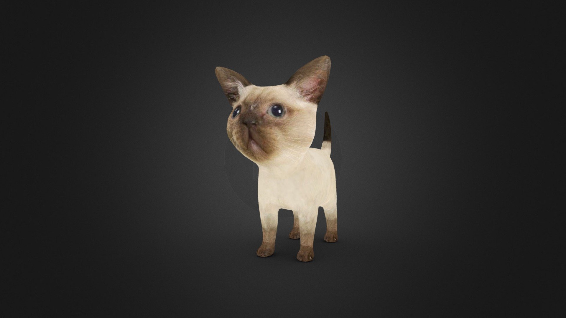 Babuleh Cat - Бабулех - Download Free 3D model by Ponter [08559ff ...