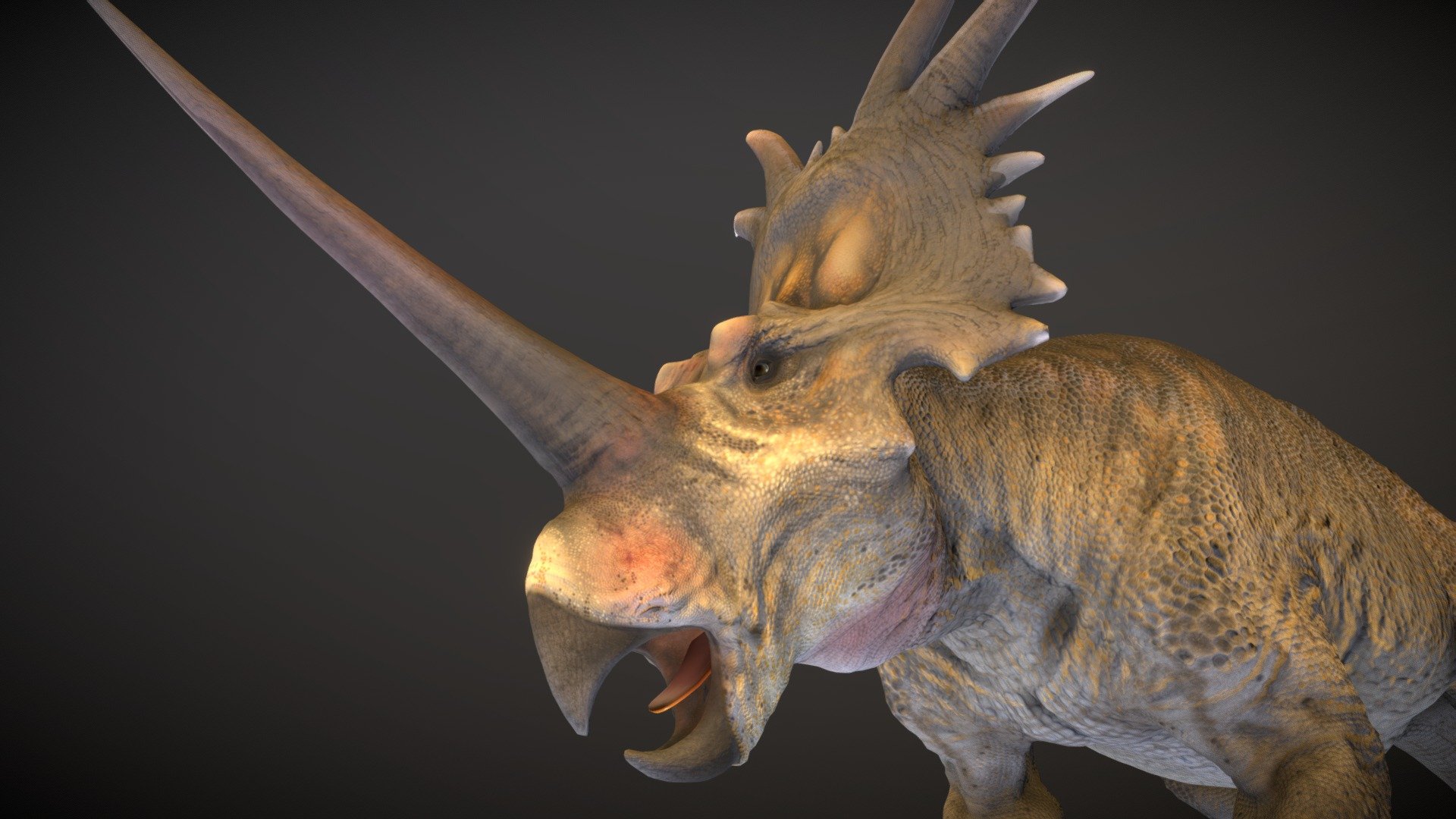 Styracosaurus - Buy Royalty Free 3D model by robertfabiani [085ce31 ...