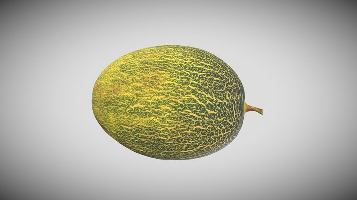 Melon 3D models - Sketchfab