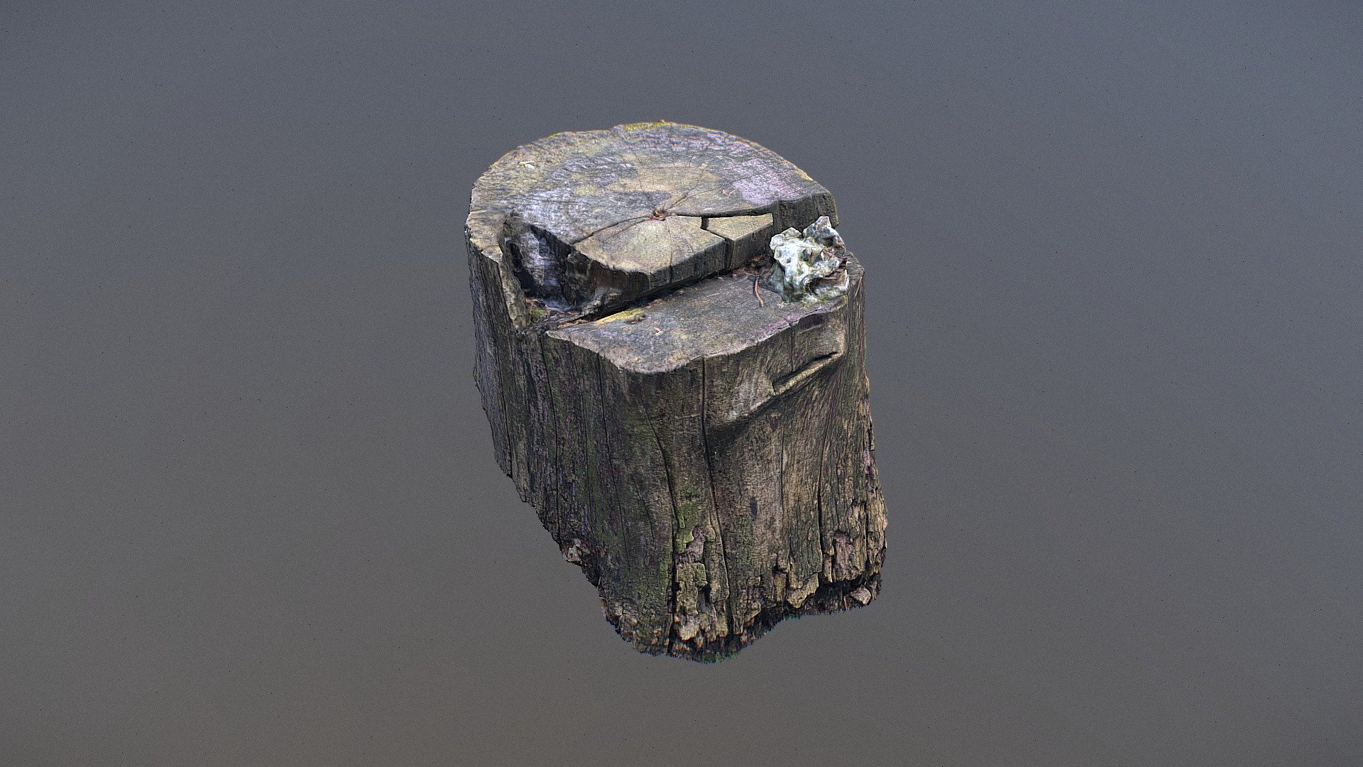 Log stump - Download Free 3D model by B0bik [085e66b] - Sketchfab