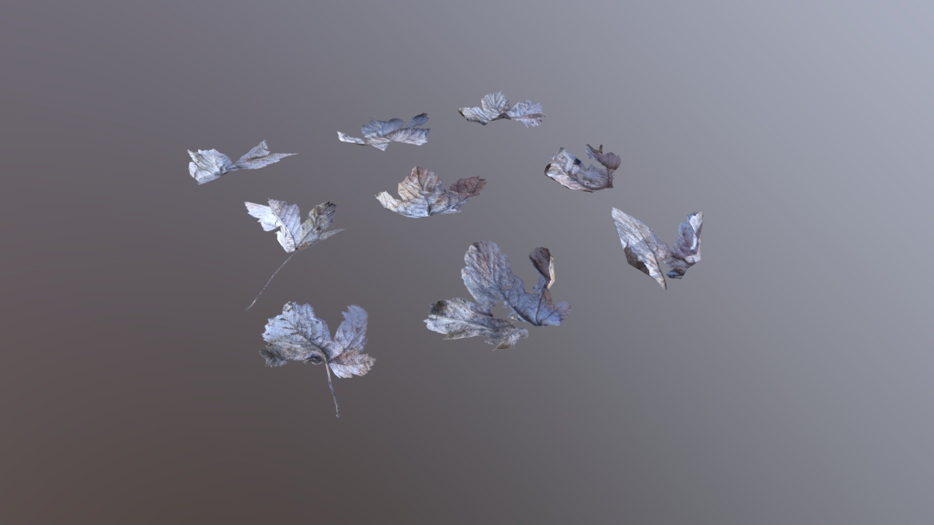 Dry Maple Leaves Pack - Buy Royalty Free 3D model by kambur [0862710 ...