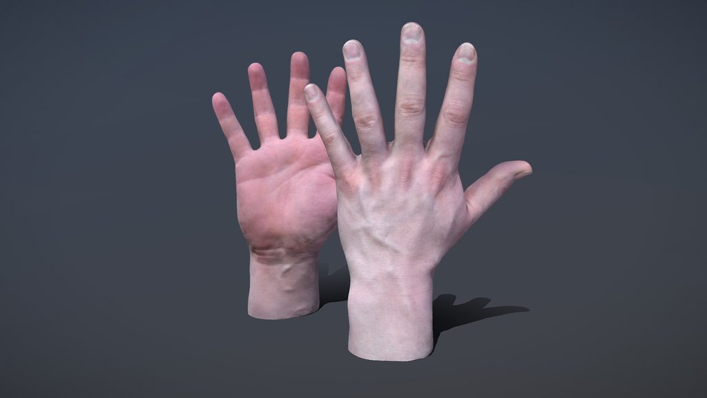 human body - A 3D model collection by Indira2004 - Sketchfab