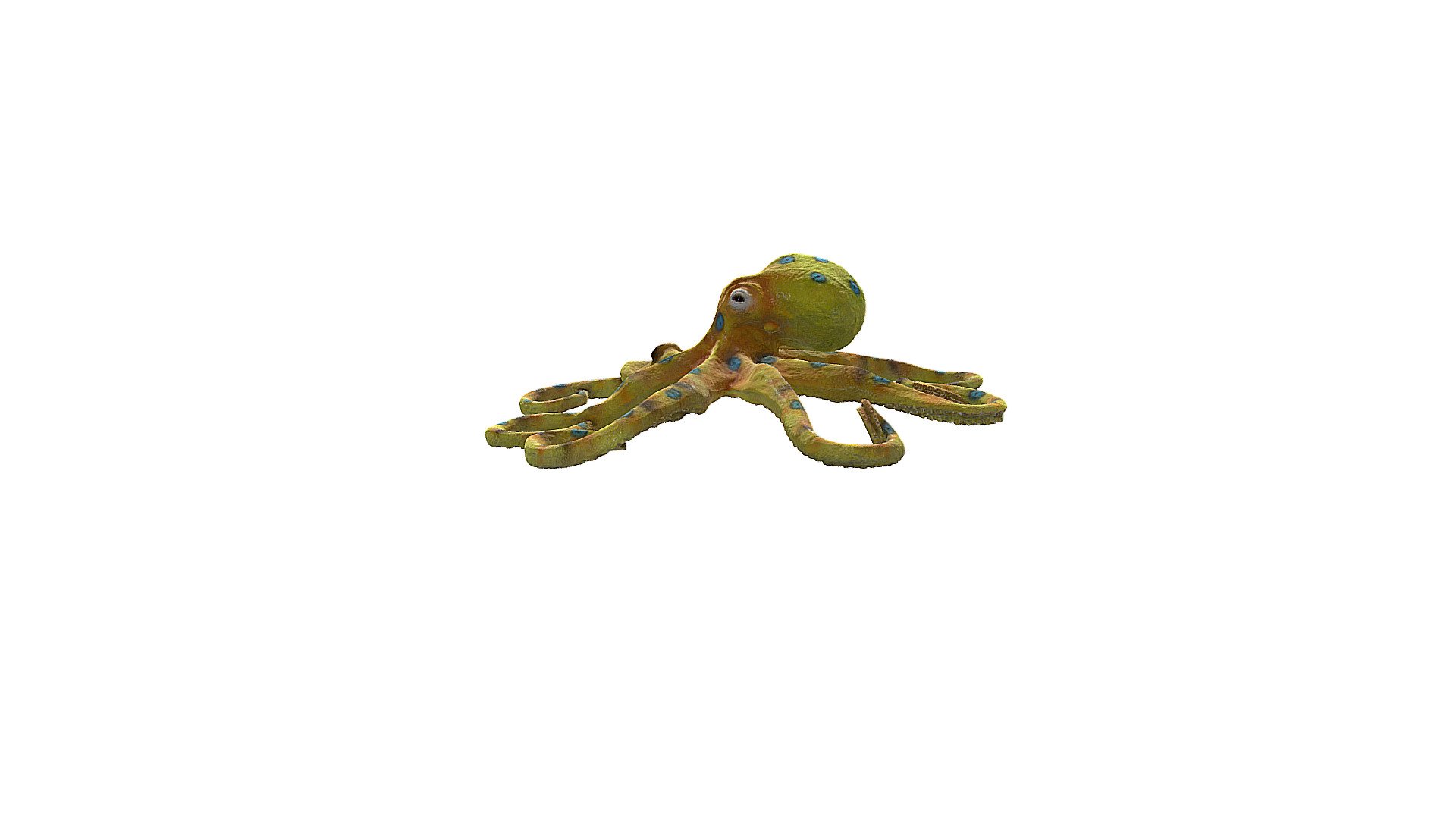 Octopus Yellow - 3D model by TheInteriorGallery [0864d2a] - Sketchfab