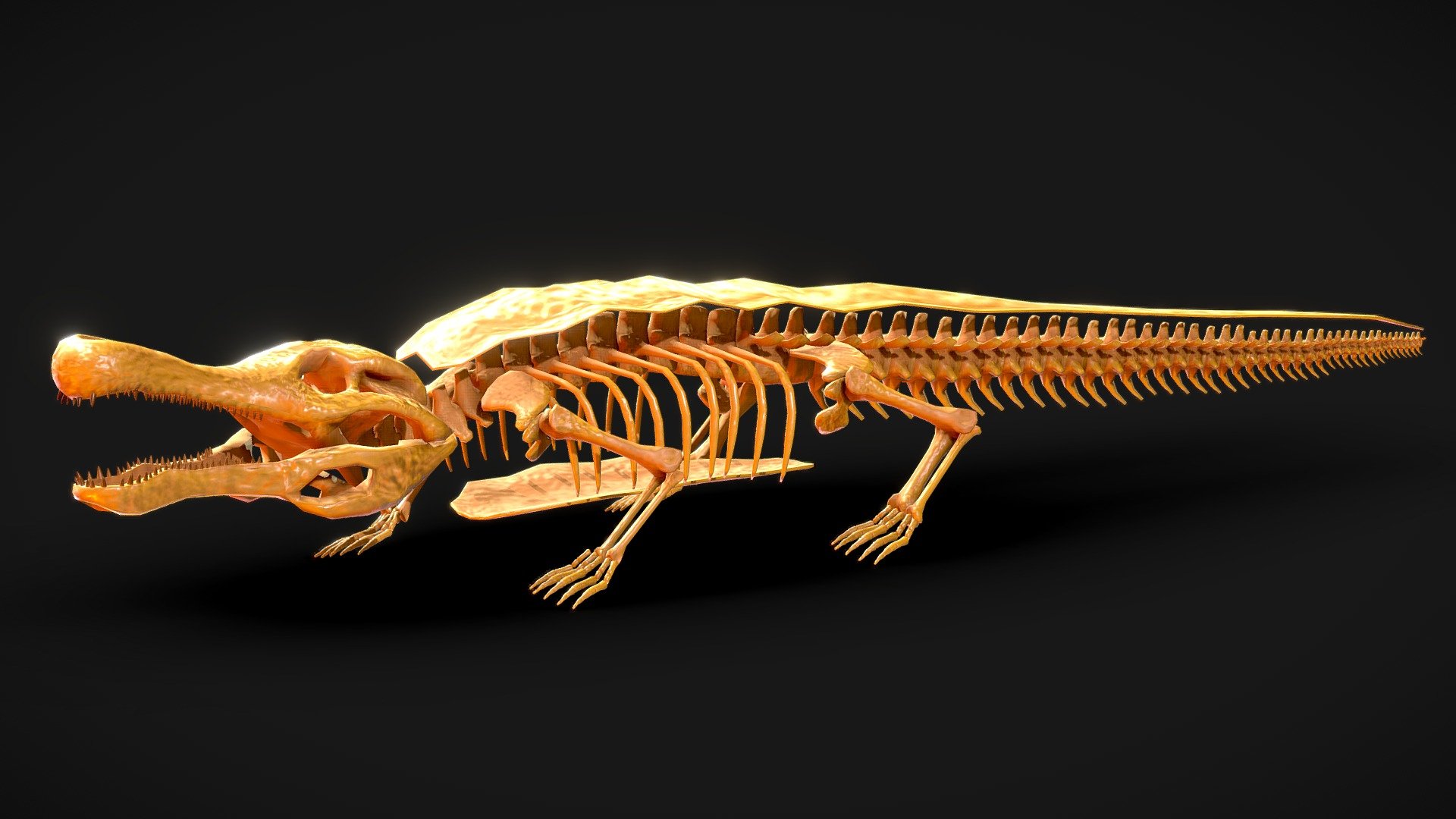 Realistic Reptilians Fossil - Sarcosuchus - Buy Royalty Free 3D model ...