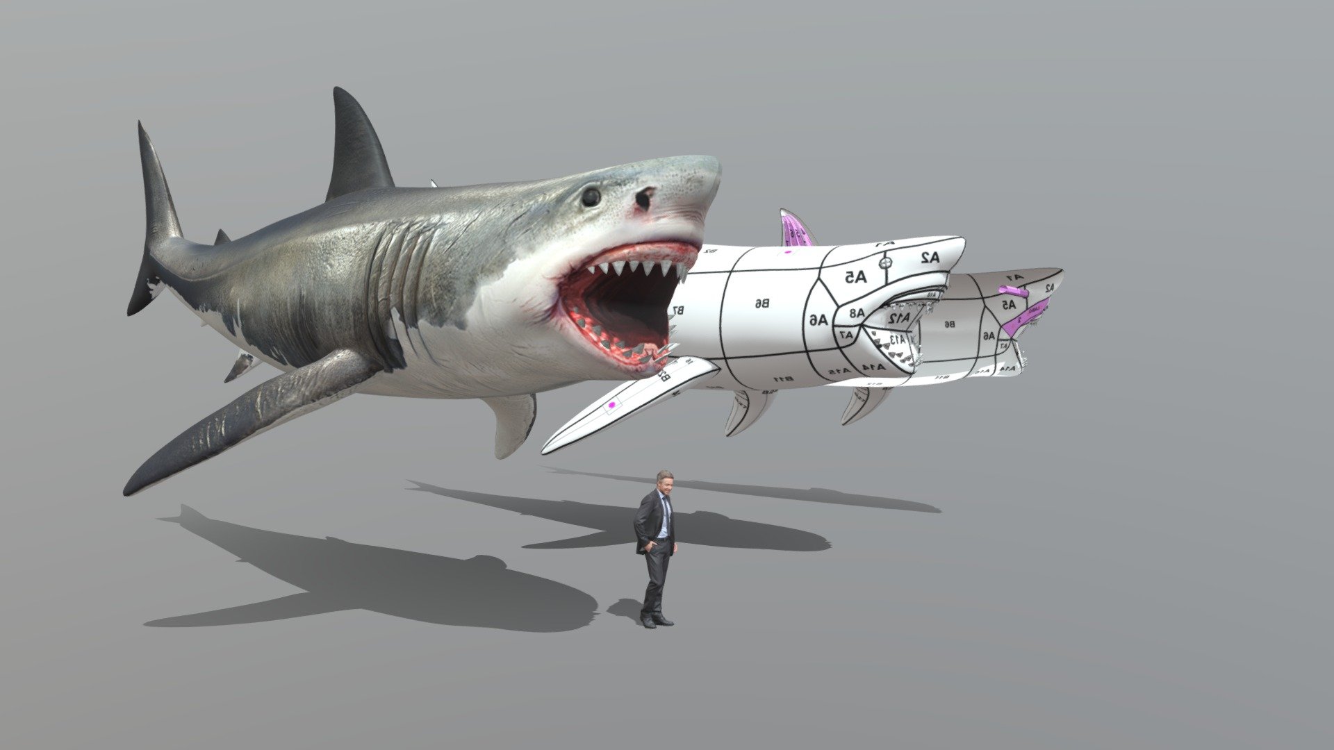 megalodon guia sketchfab - 3D model by Daniel Rueda (@daniel.rueda.2003 ...