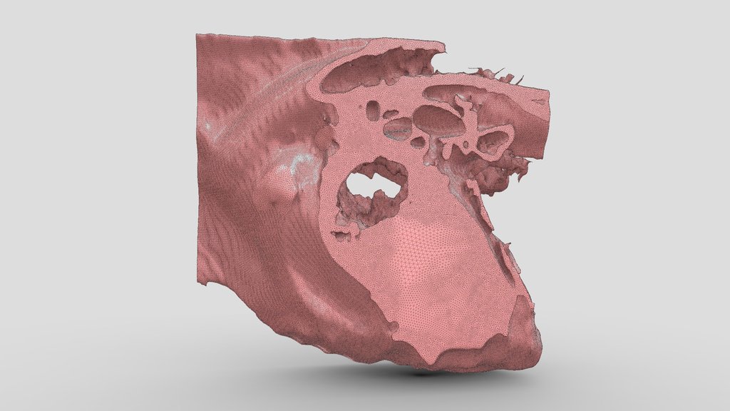 Animal Anatomy - A 3D model collection by Advanced Visualization Lab ...