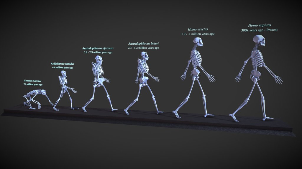 Ancestors - A 3D model collection by papahartstudio - Sketchfab