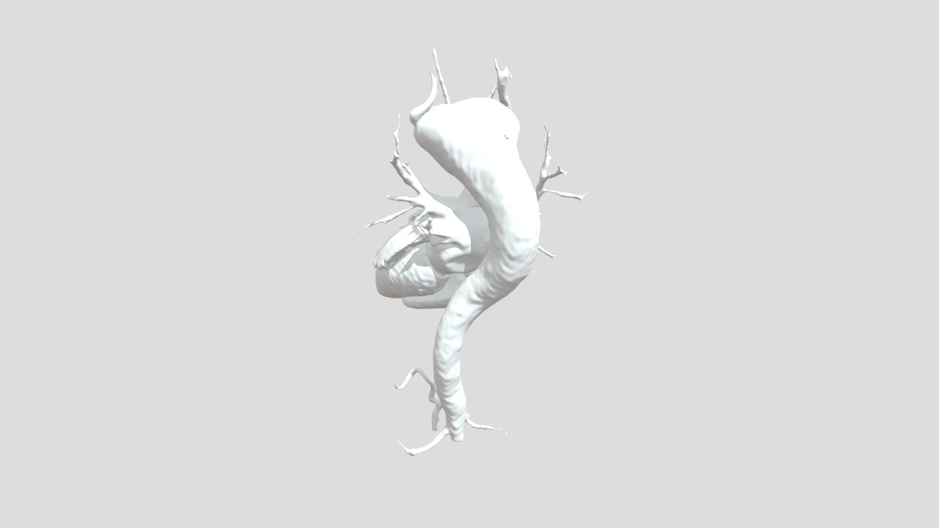 Heart from MRI scan (huge aorta) - 3D model by anatomica (@asemabad ...