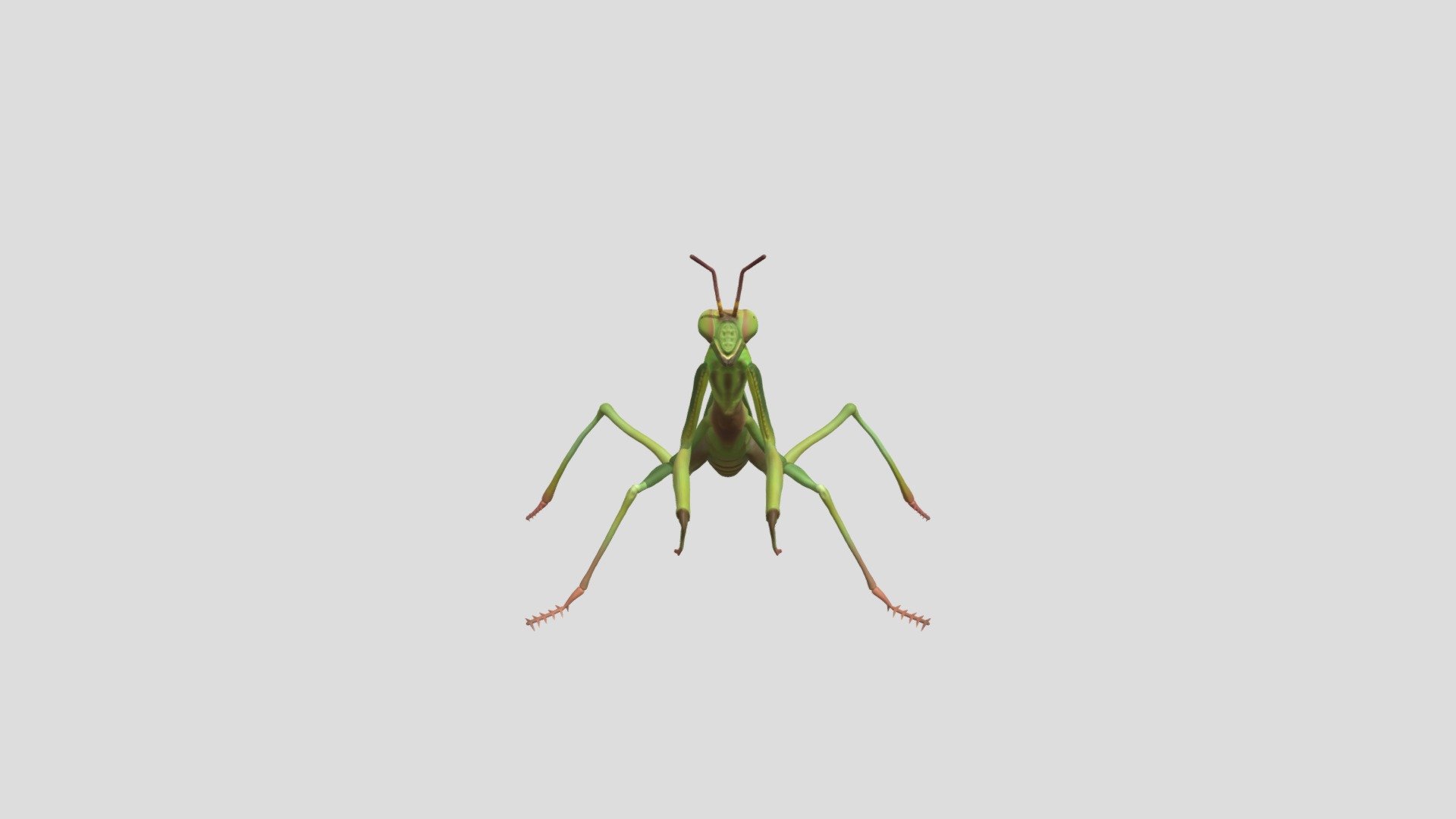 Painted Praying Mantis - 3D model by YuutsuAmai [0881267] - Sketchfab