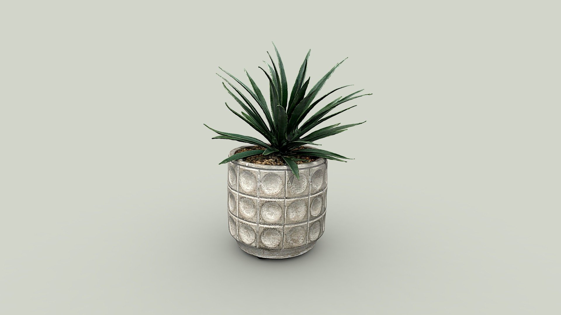 Artificial Mini Agave Plant - Buy Royalty Free 3D model by Switch 3D ...
