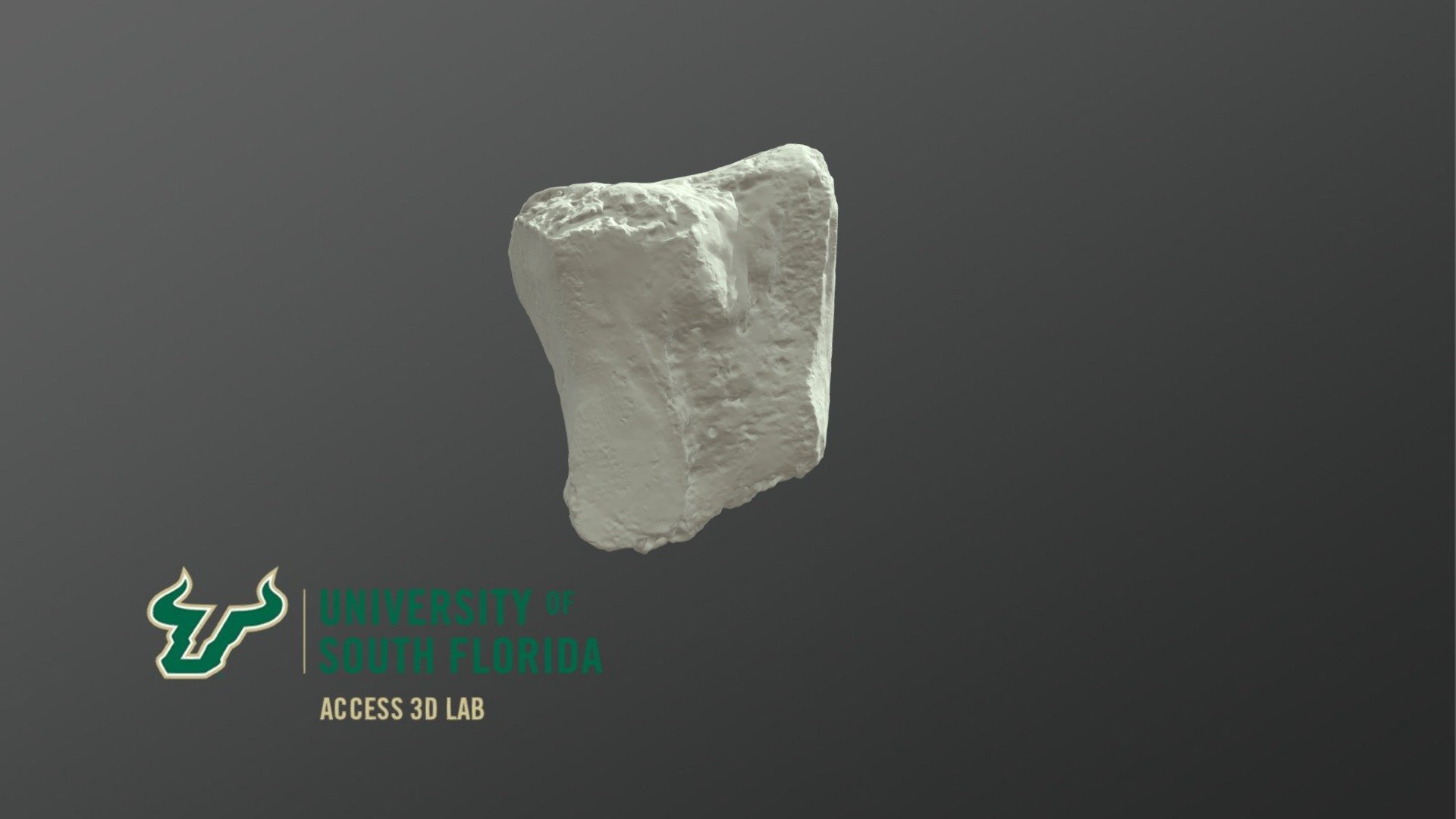 Right Cuneiform 2 (87) - 3D model by access3d [088b450] - Sketchfab