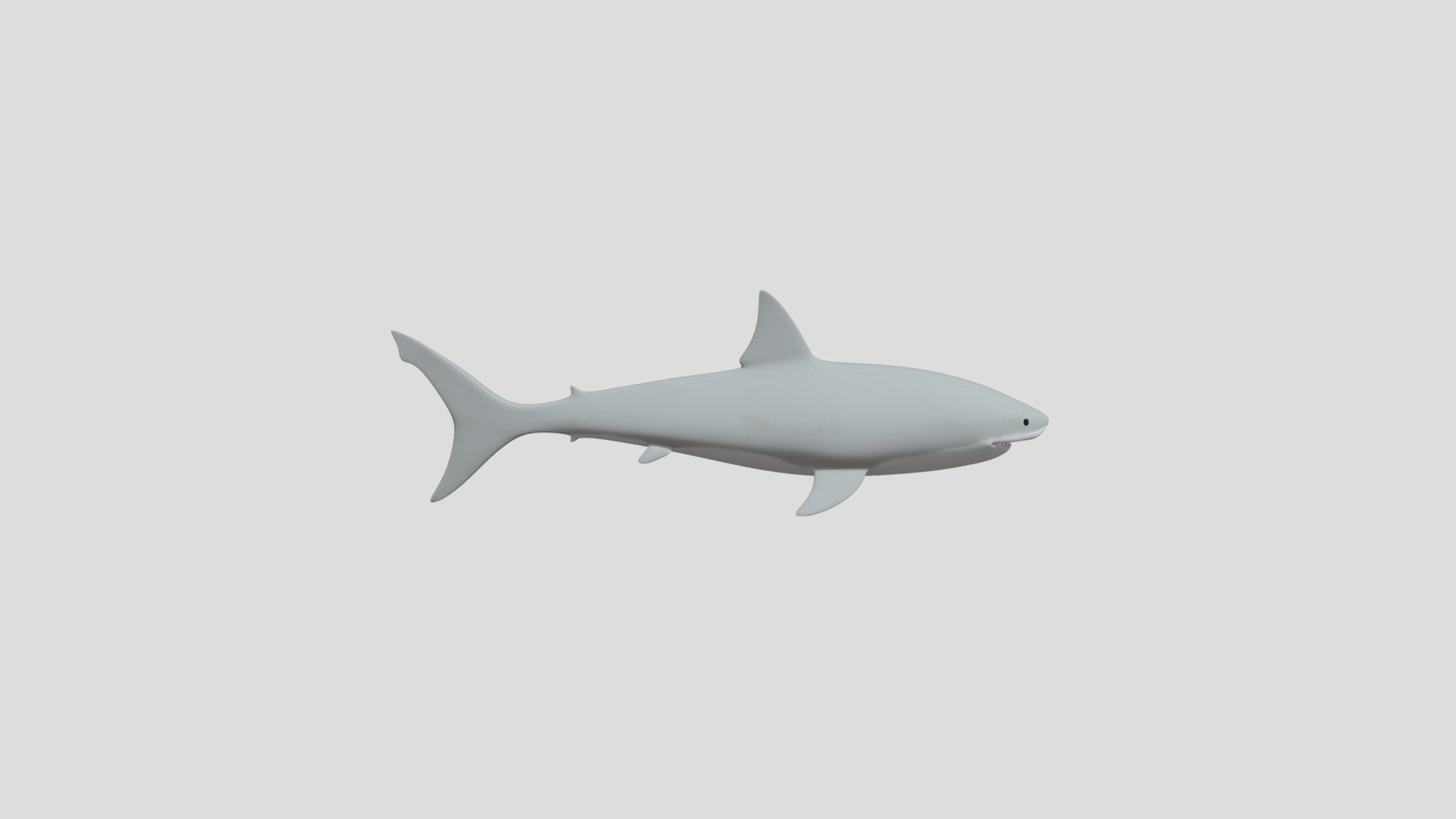 Shark - 3D model by ColinCharleson [08928aa] - Sketchfab