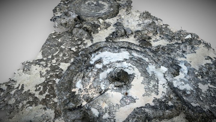Microatoll 3D models - Sketchfab