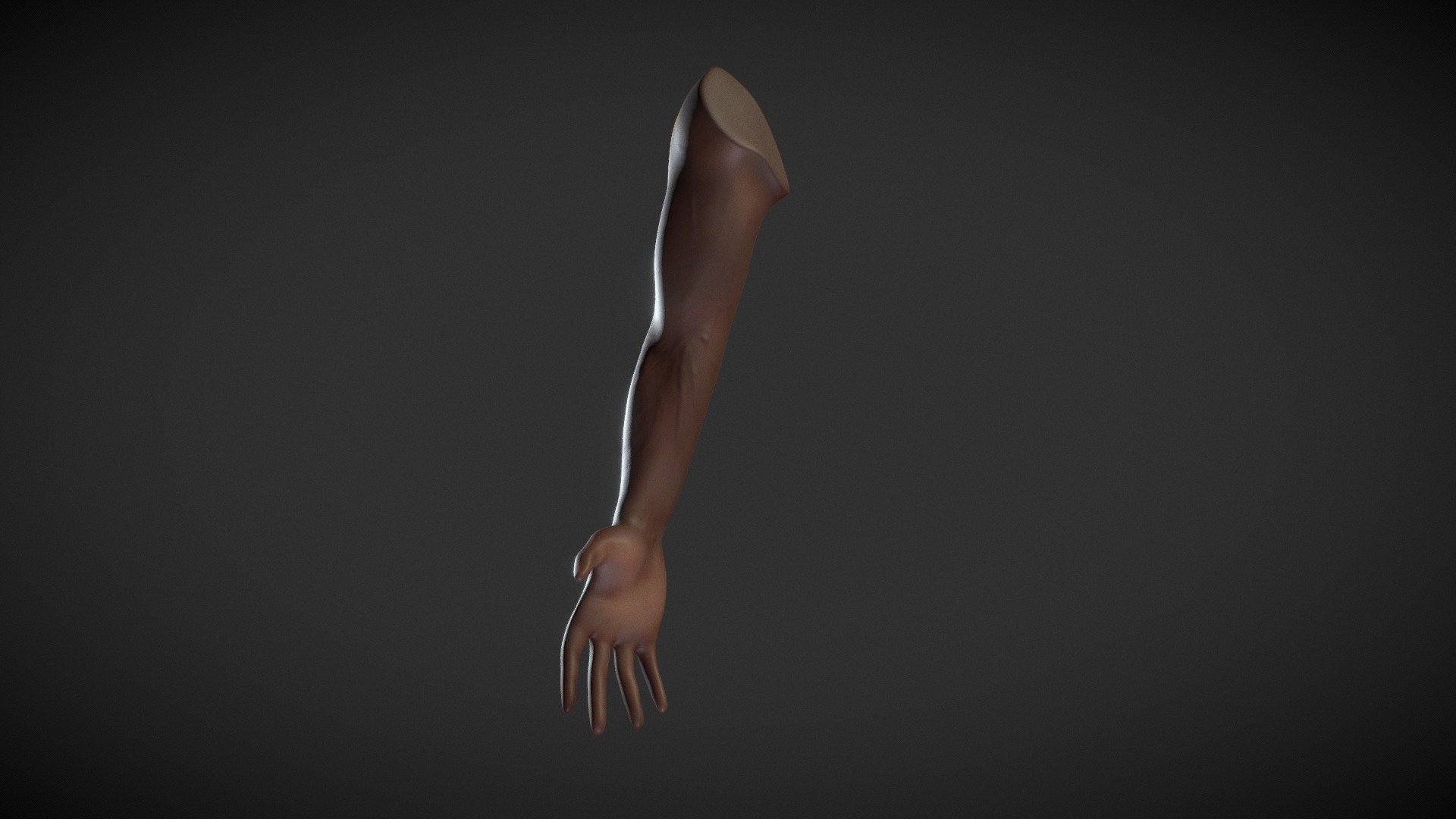 Human Male Arm base mesh - Dark Skin - Buy Royalty Free 3D model by ...