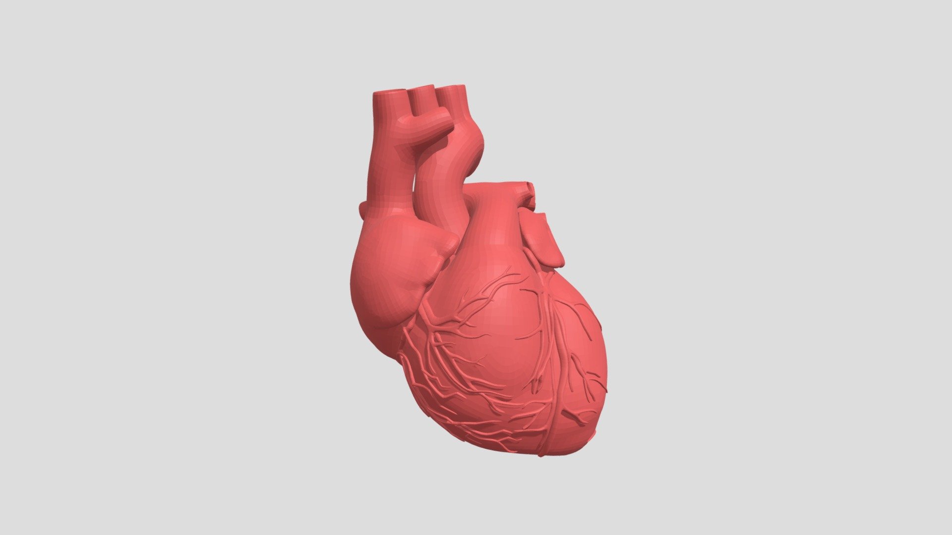 Heart - 3D model by advids [08a2672] - Sketchfab