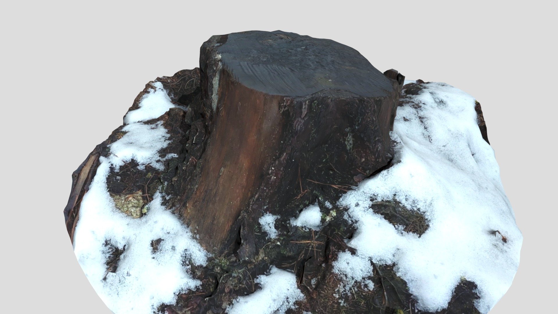 Tree stump - 3D model by Vavtrudner [08a482f] - Sketchfab