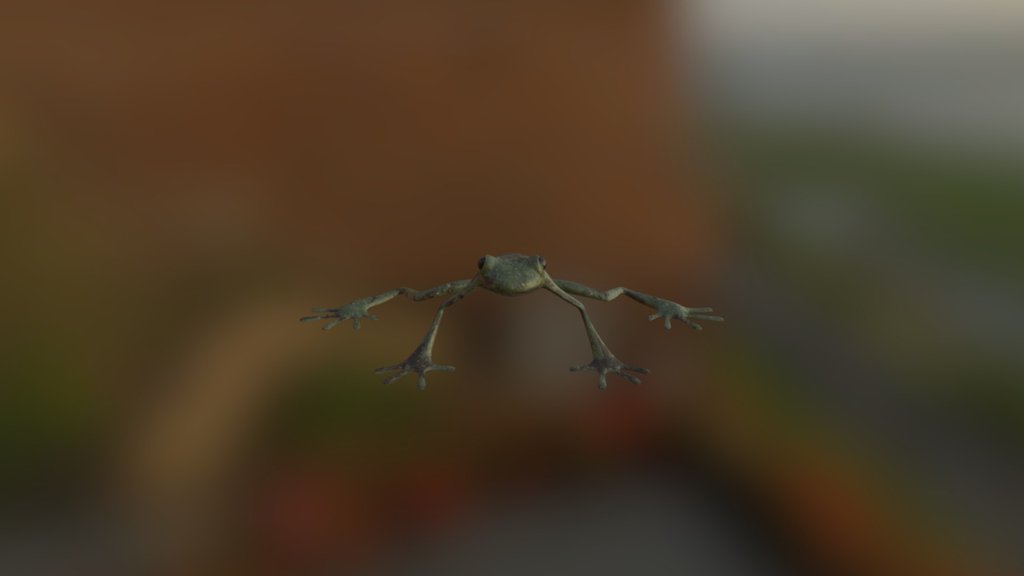 3D Frog - 3D model by ryaneast [08b54c1] - Sketchfab