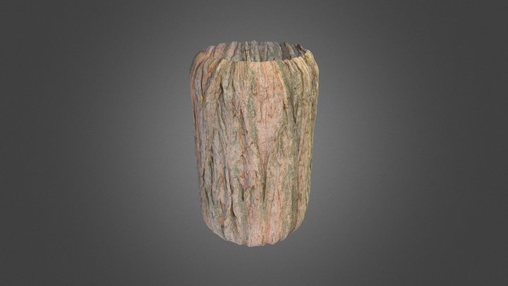 Populus 3D models - Sketchfab