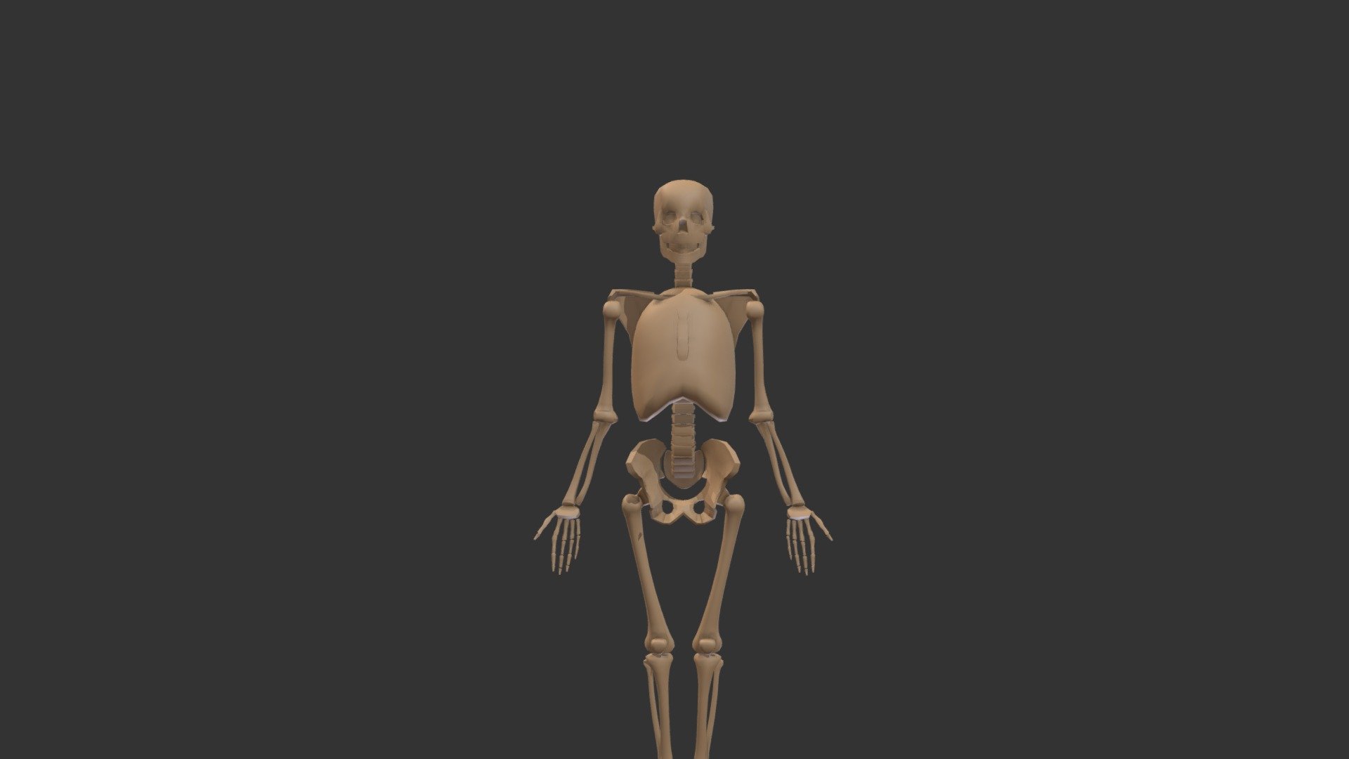 VallecilloJ_Skeleton_BaseMesh_Complete - 3D model by Jonathan Vallecillo (@sabio201210) [08ba152 ...